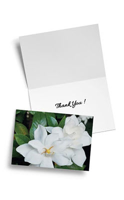 Custom Greeting Card Printing Services | PrintingCenterUSA