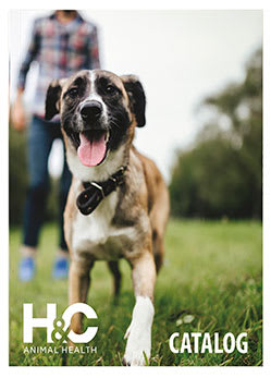 Catalog Printing | PrintingCenterUSA