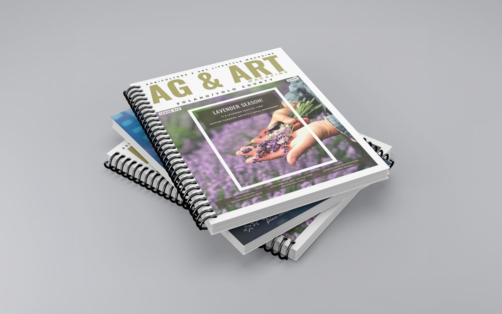 Custom booklet printing store
