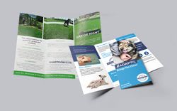 Color Copies | Color Copies Printing Services | PrintingCenterUSA