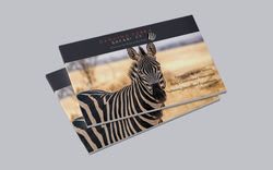 Custom Paperback Book Printing Services